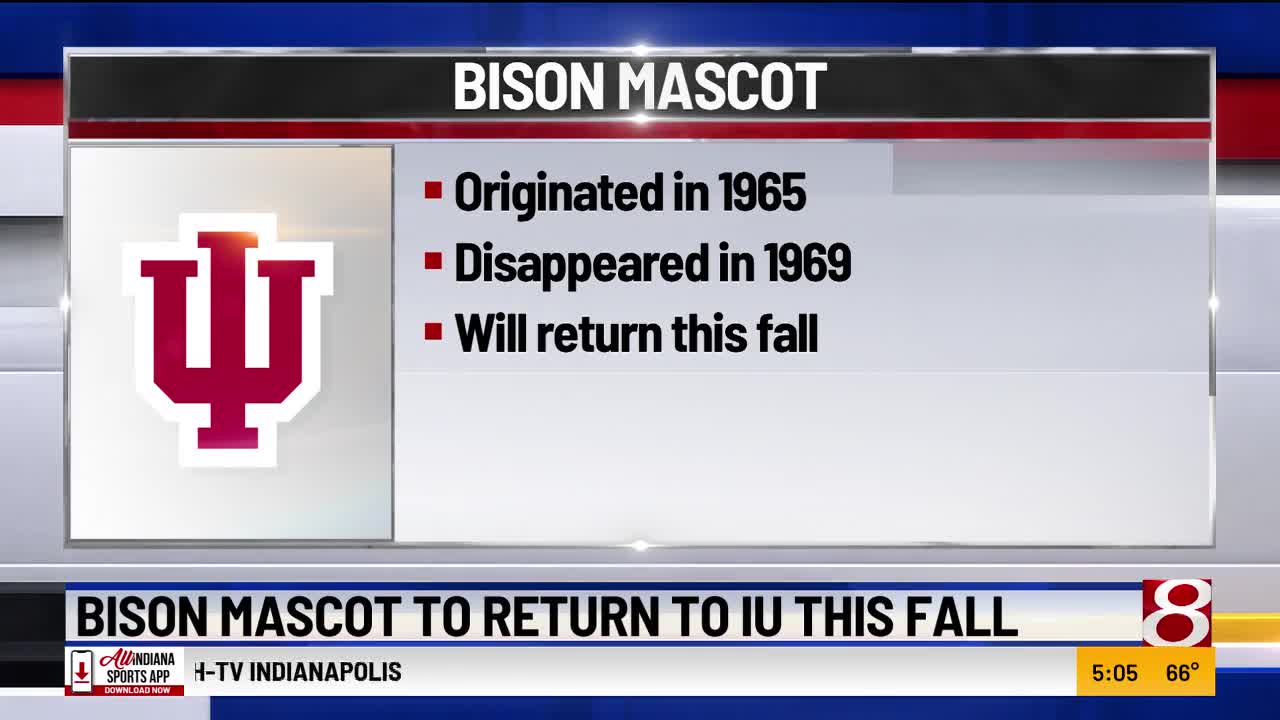 IU Bison mascot to return this fall