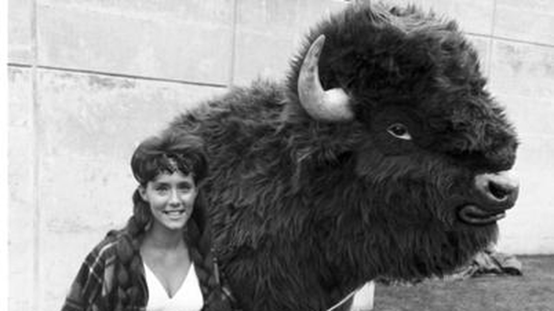 Indiana University Brings Back the Bison