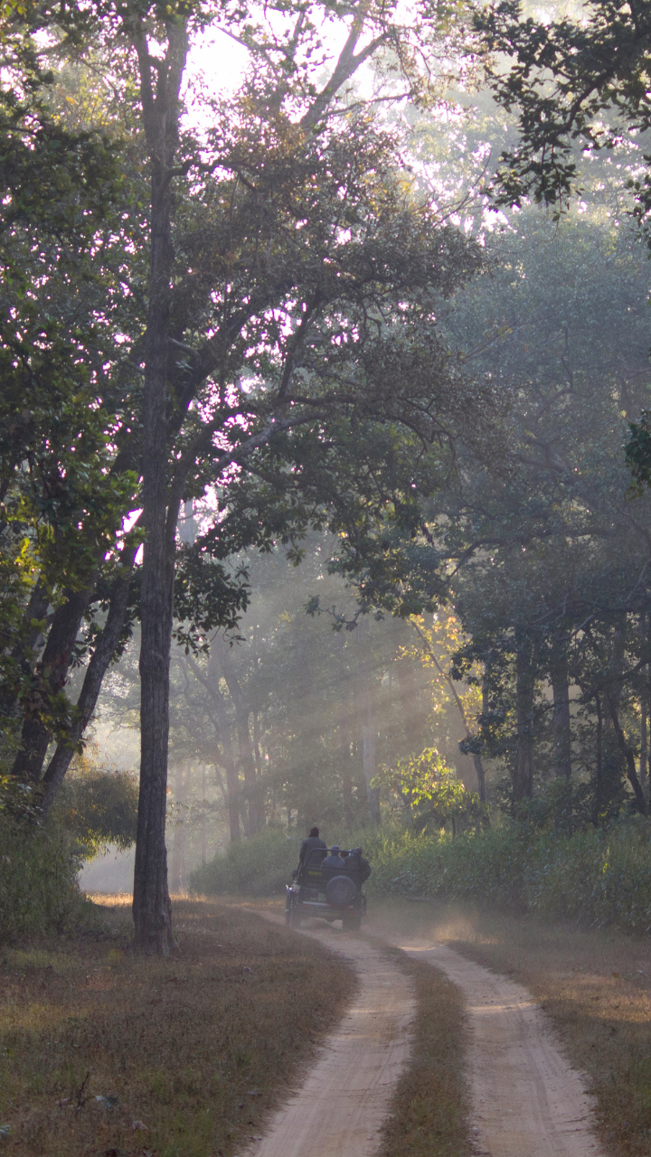 10 reasons to visit Pench National Park