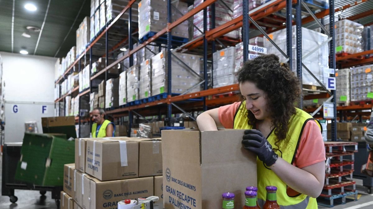 Campaña para 'ningún hogar sin alimentos'