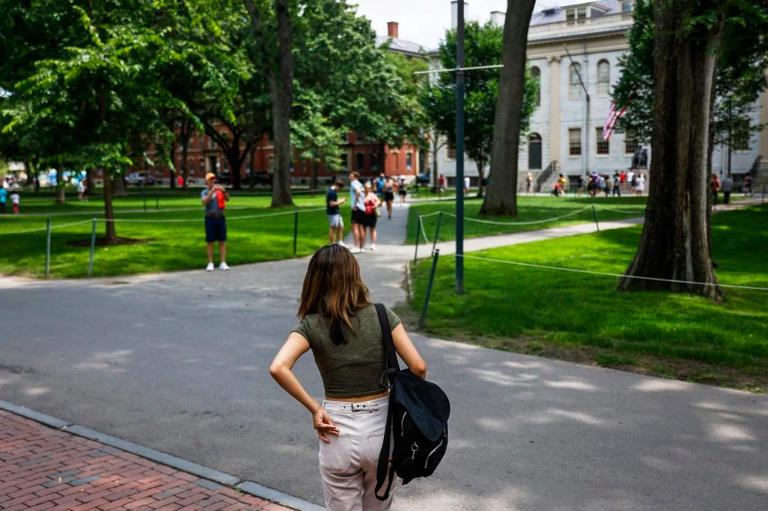 ‘Stand up, fight back': Harvard community rallies for international ...