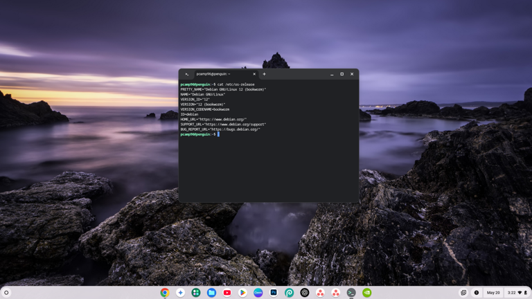 How to Install and Use Linux Apps on a Chromebook