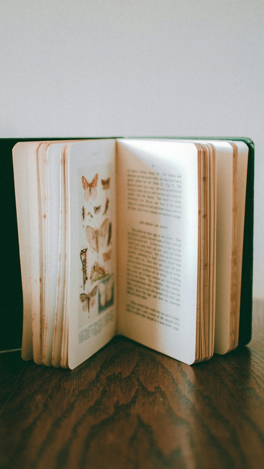 Essential Tips For Publishing Your First Book