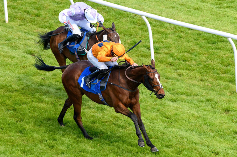 Luminaries racks up fourth win in five meetings for Hawick racehorse ...