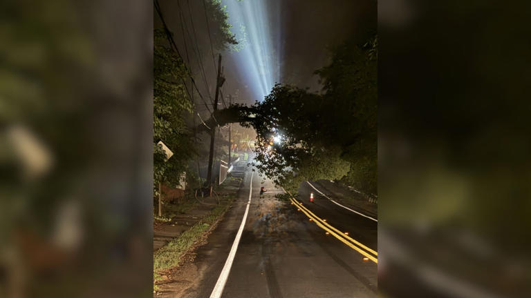 Tree falls on power lines in northeast Atlanta, causing outages
