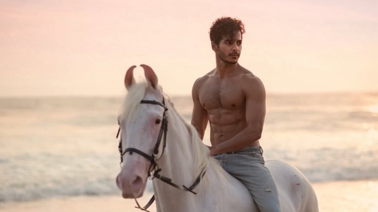 Ishaan Khatter-Bhumi Pednekar's The Royals returns for Season 2, but ...