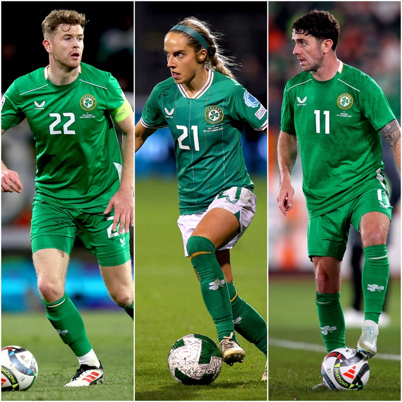 Player of the Year? Goal of the Year? Nominees announced for FAI ...