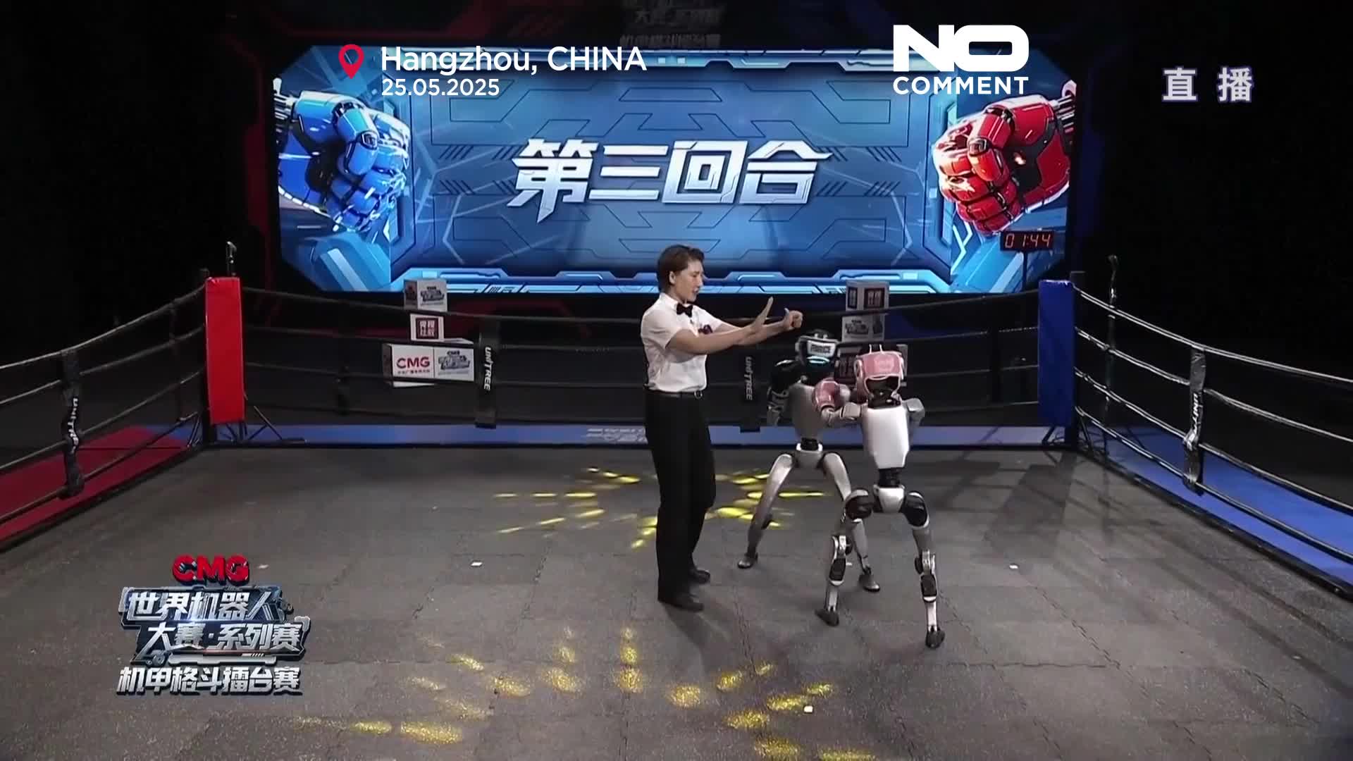 AI Strategist defeats rivals in first-ever humanoid robot tournament