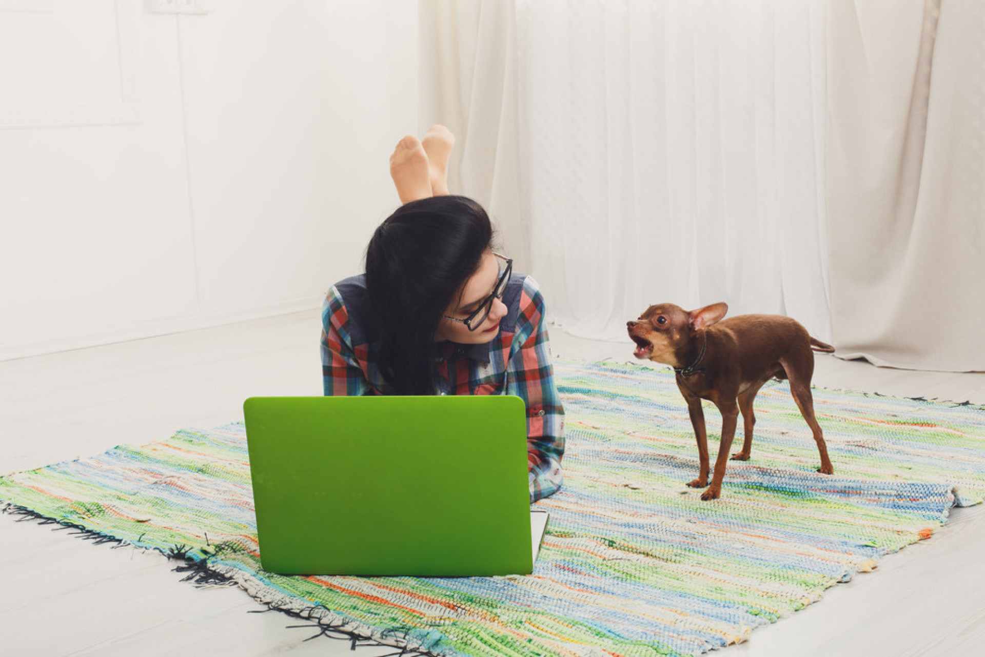 Common human behaviors that dogs dislike
