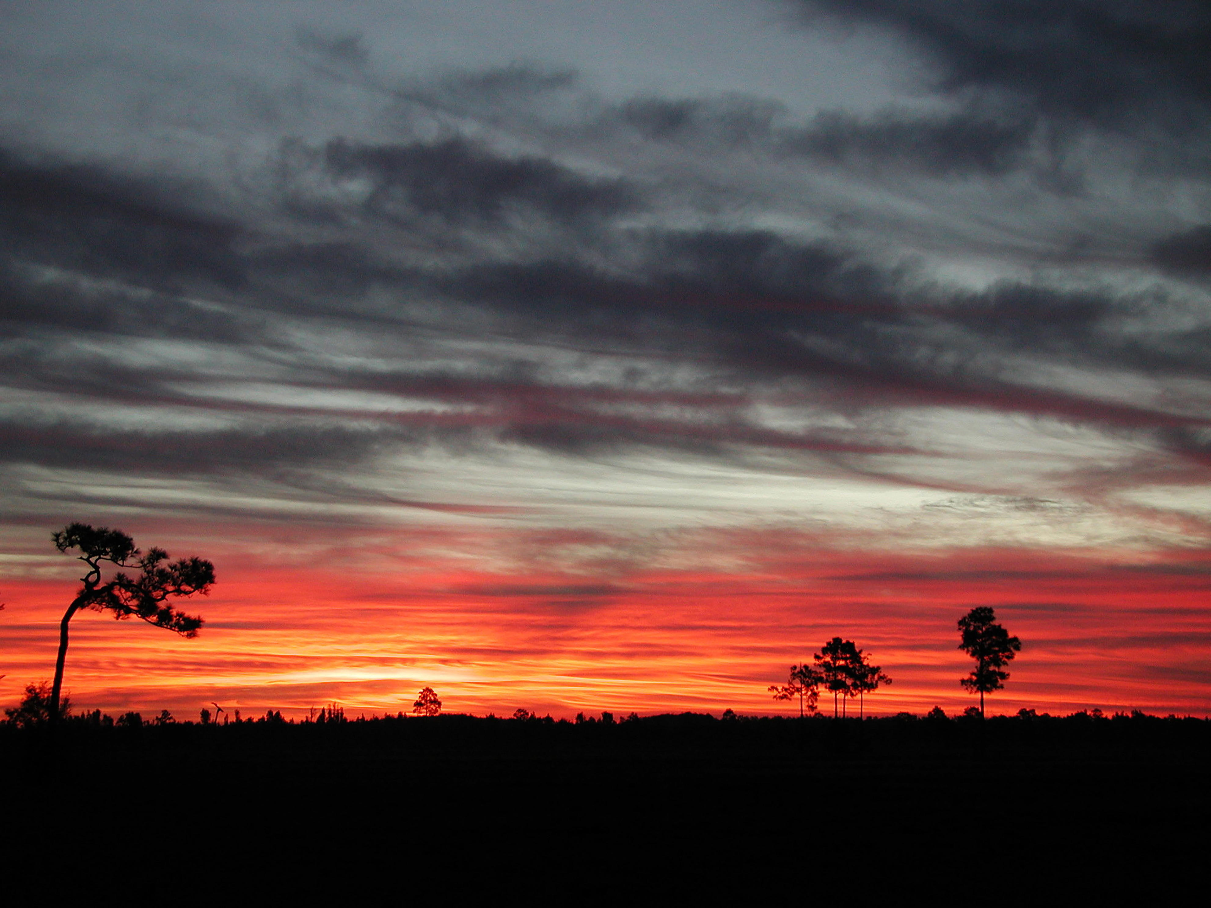 Best SW Florida reader photos include Cape Coral, Fort Myers