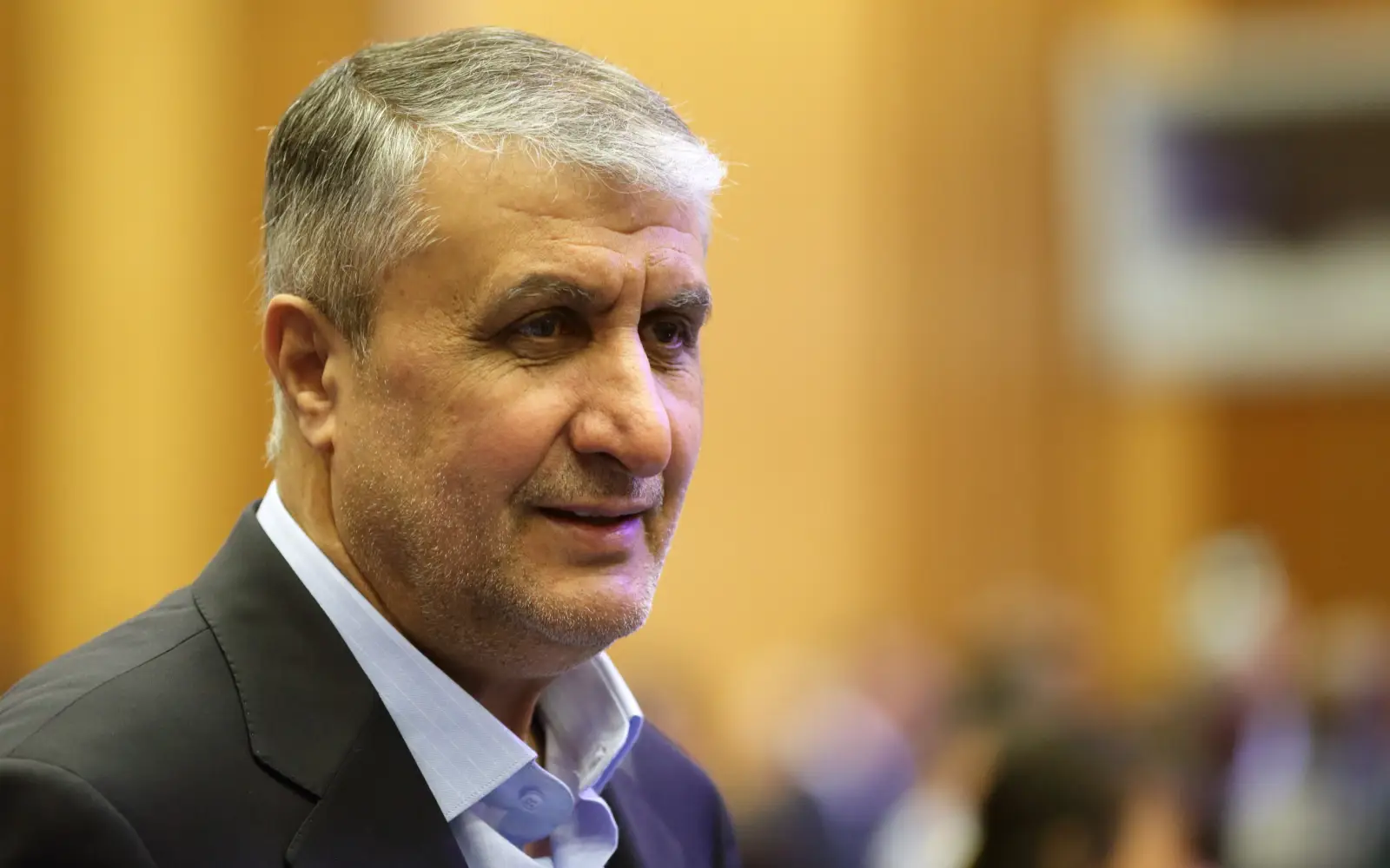 Iran might accept US IAEA inspectors if nuclear deal reached