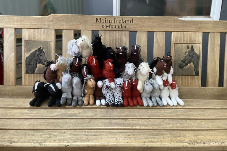 Pony therapy organisation launched by mum and daughter to help children ...