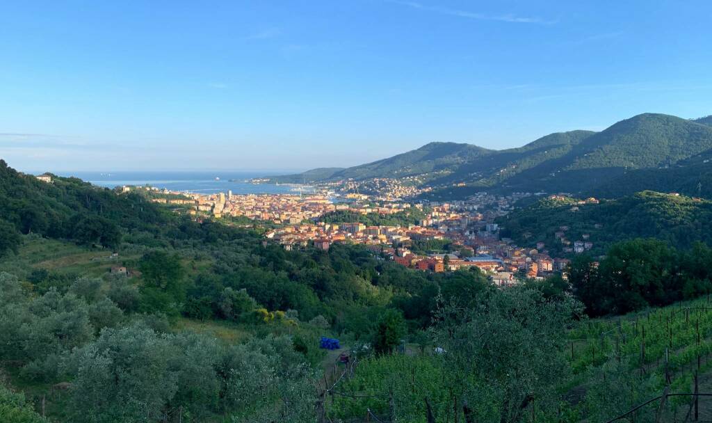 Liguria seconda in Italia per uso dell’italiano: il dialetto sempre più ...