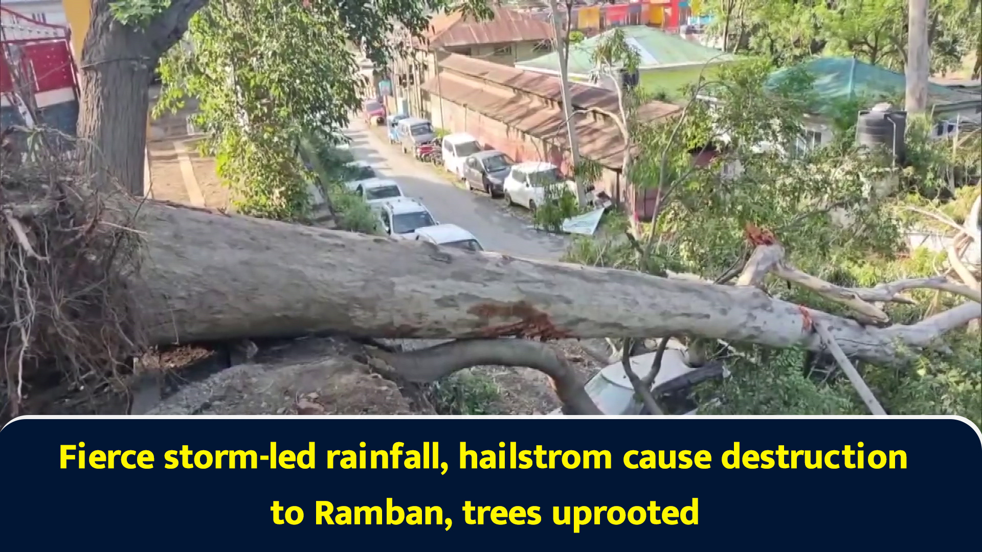 Fierce storm-led rainfall, hailstrom cause destruction to Ramban, trees ...