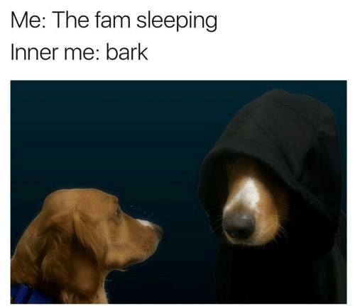 24 Good Memes of Good Boys and Girls to Get You Into the Doggo Spirit