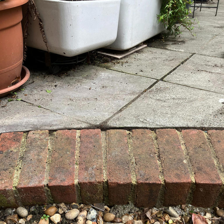 QVC's electric Weed Sweeper cleared my entire patio of weeds in less ...