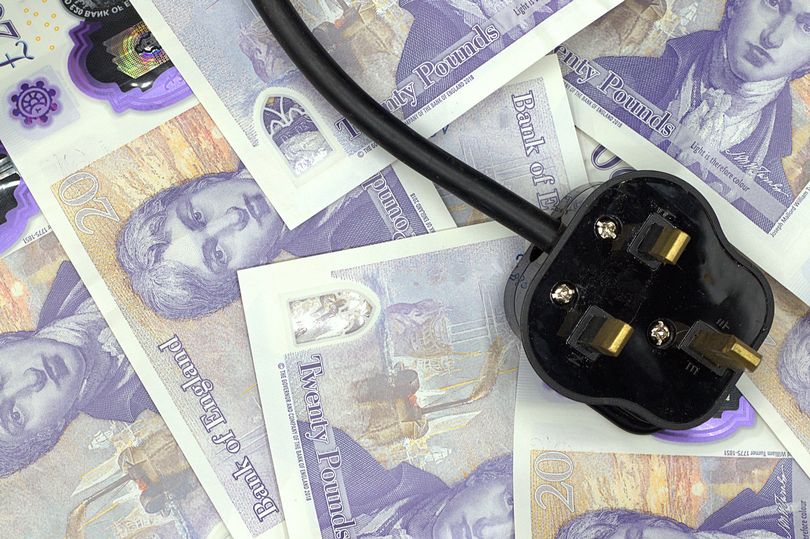 British Gas, EDF, Ovo and Octopus customers handed £533 boost after ...