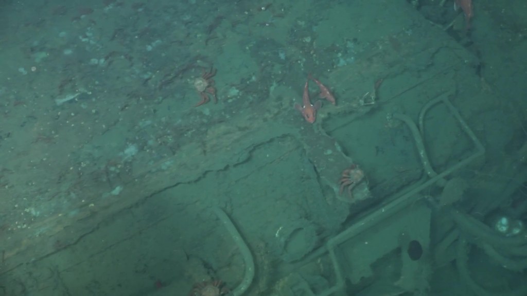 Lost US WWI submarine found ‘remarkably intact’ off the coast of San Diego