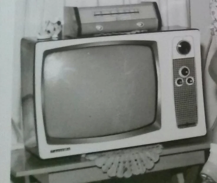 13 Ordinary ’60s Habits—Like Heating Up TV Dinners While Adjusting the ...
