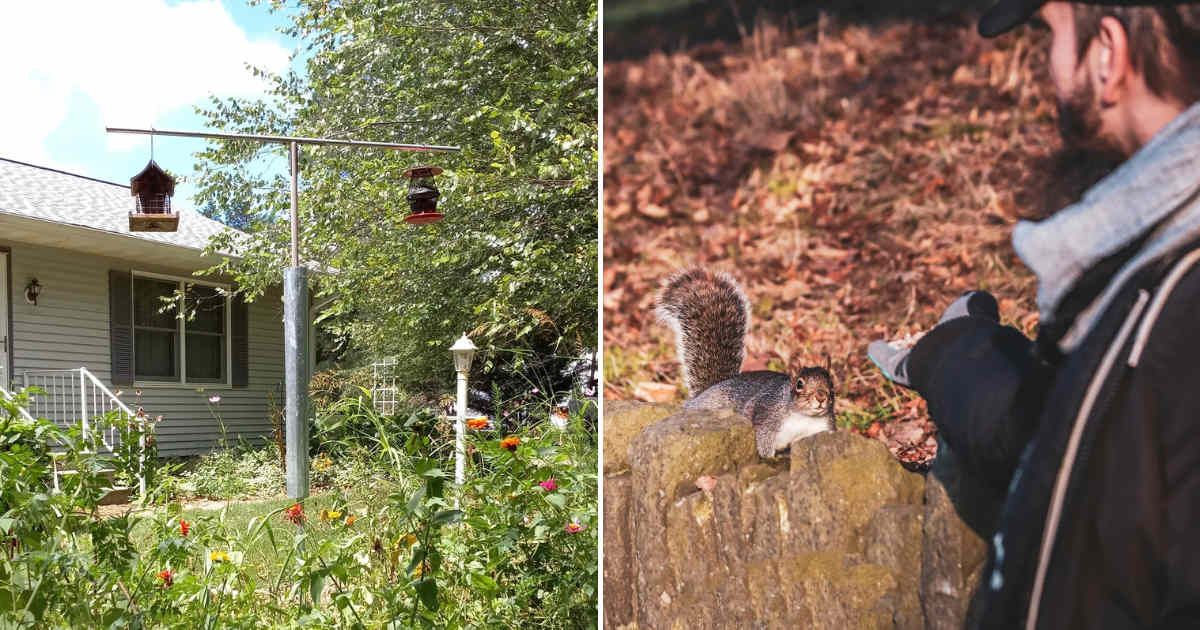 Gardener Uses a ‘PVC Pipe’ Hack on the Bird Feeder Pole — Says It Has ...