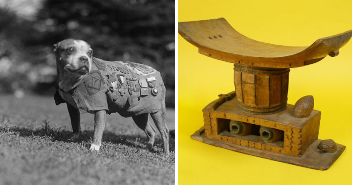 23 Bizarre Historical Events So Odd You Need To Read Them Twice