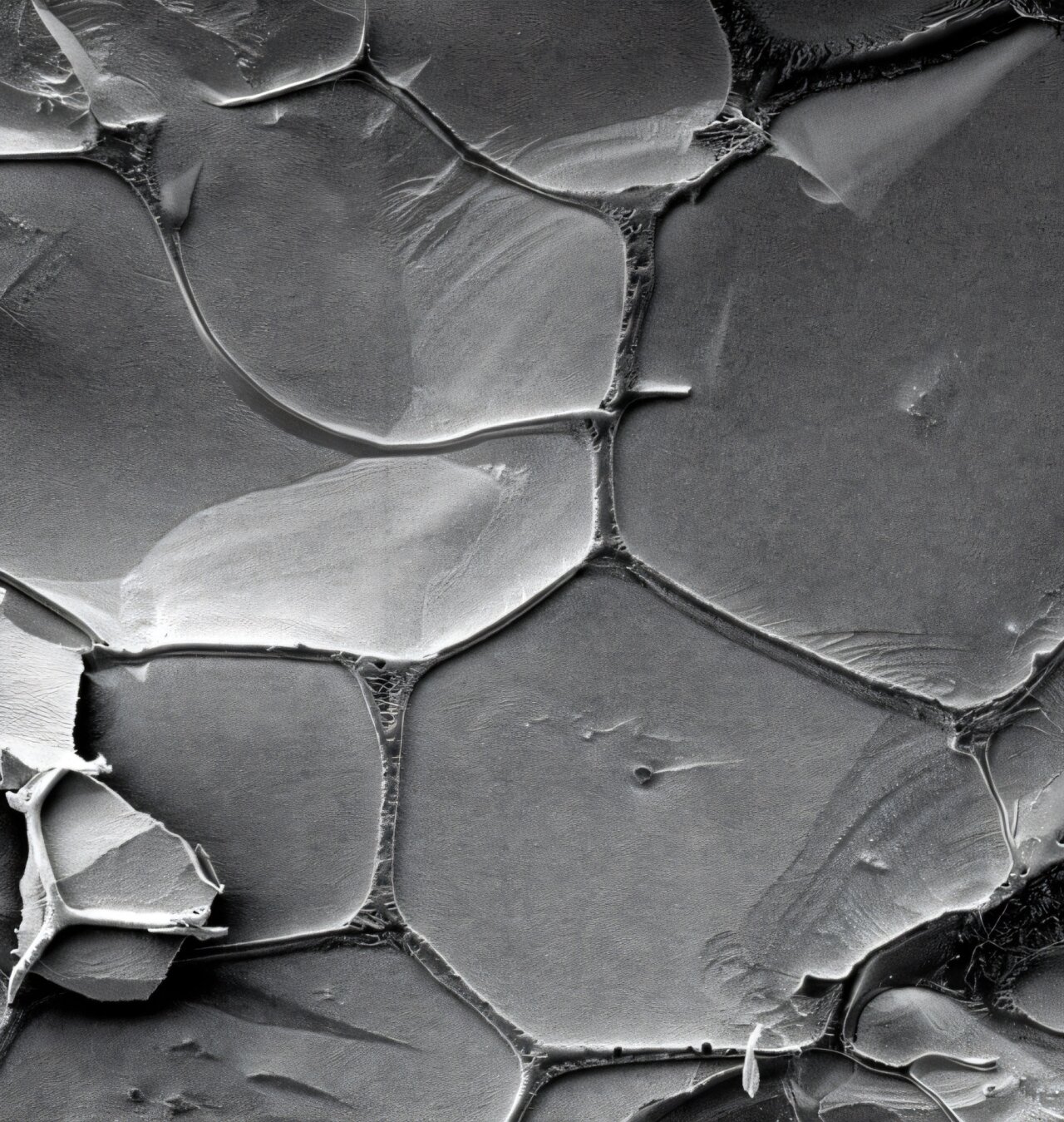 Early Earth chemistry: Triplet RNA building blocks and freeze-thaw ...