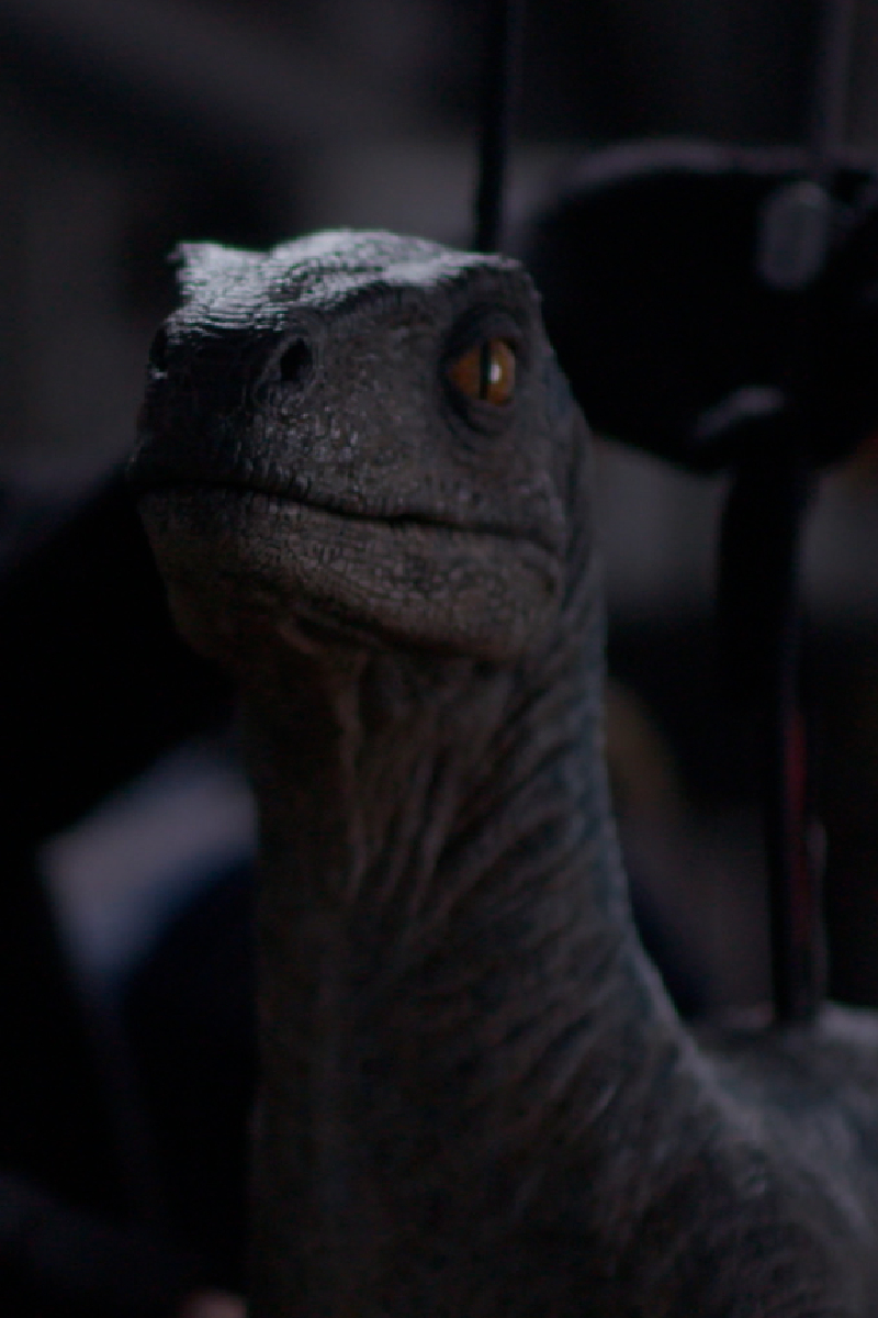 From 'Alien' to 'Godzilla', Why We Love Monster Movies