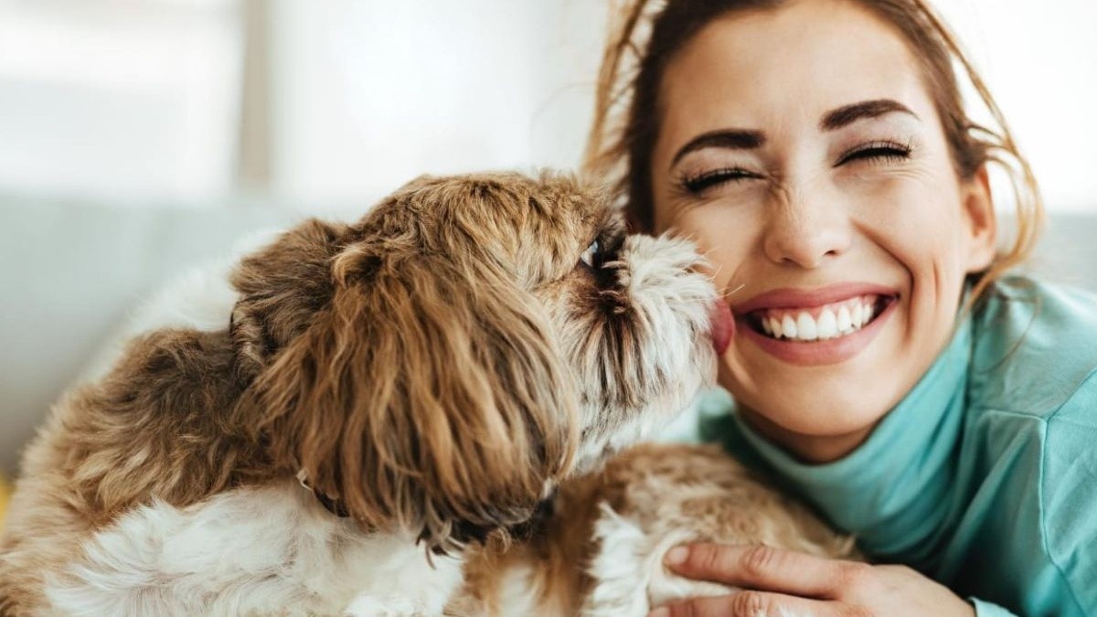 6 Habits That Will Improve Your Dog's Life