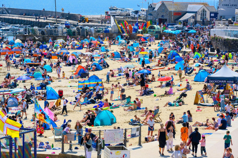 Secret Service agents suspended after brawl outside of Obama’s home in DC