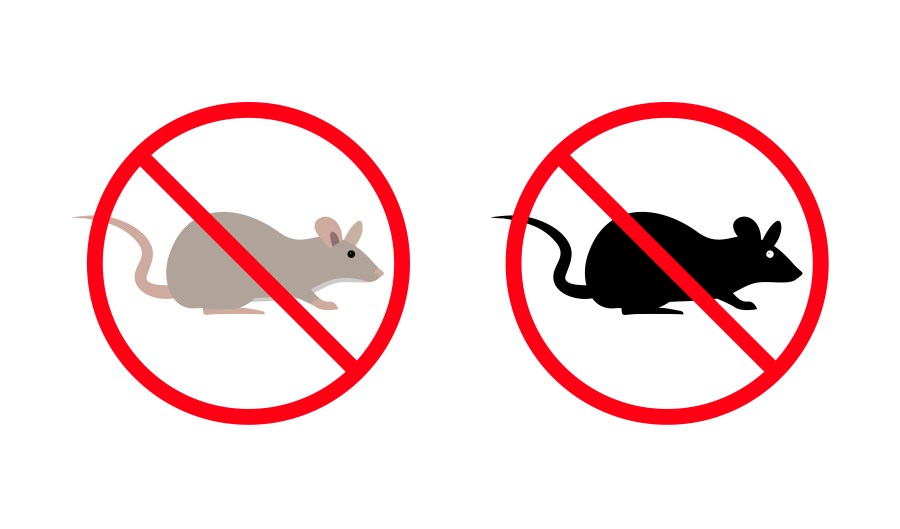 FDA reports rodent infestation at Louisville food distributor