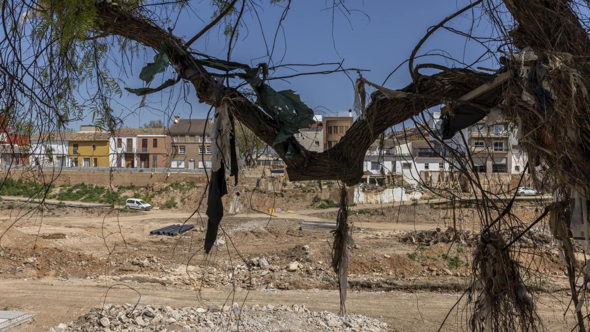 Medio Ambiente proyecta una red de parques inundables junto al Turia ...
