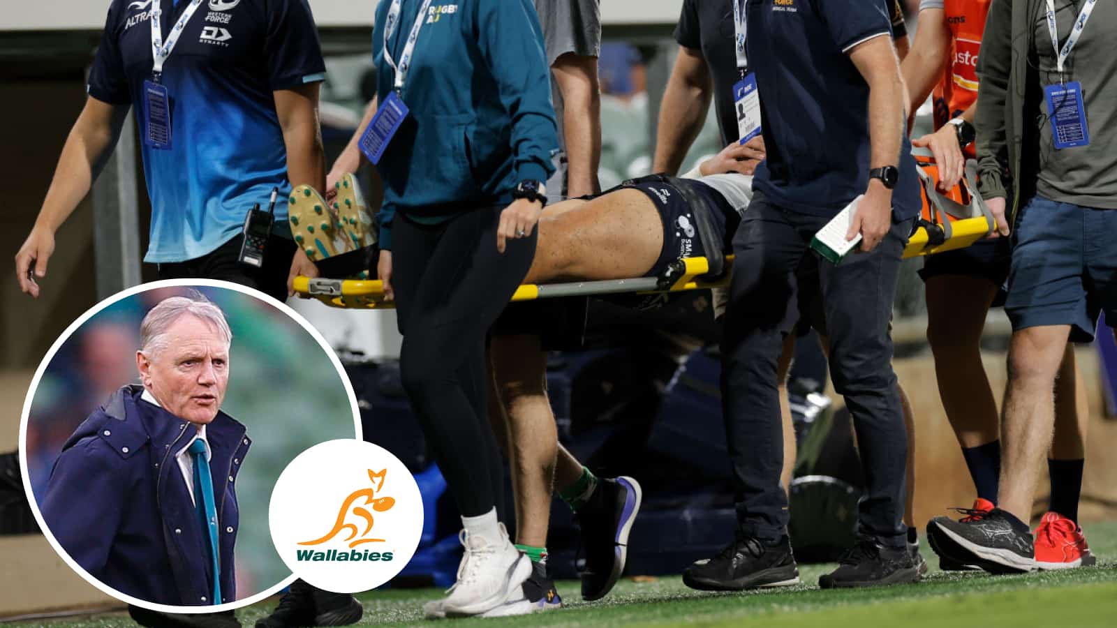 Wallabies star hands Joe Schmidt massive boost after returning from ...