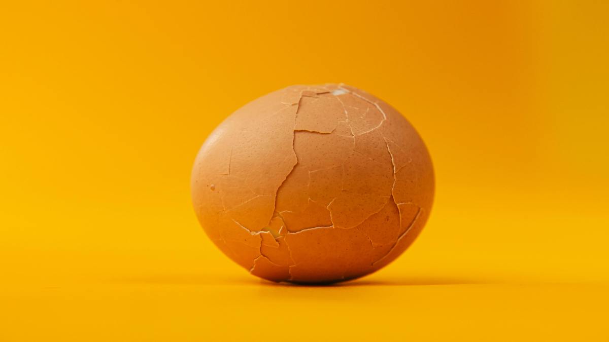 Trump Is Killing The Goose That Laid America’s Golden Eggs