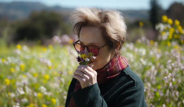 ‘Chef's Table: Legends': David Gelb and Brian McGinn reflect on a ...