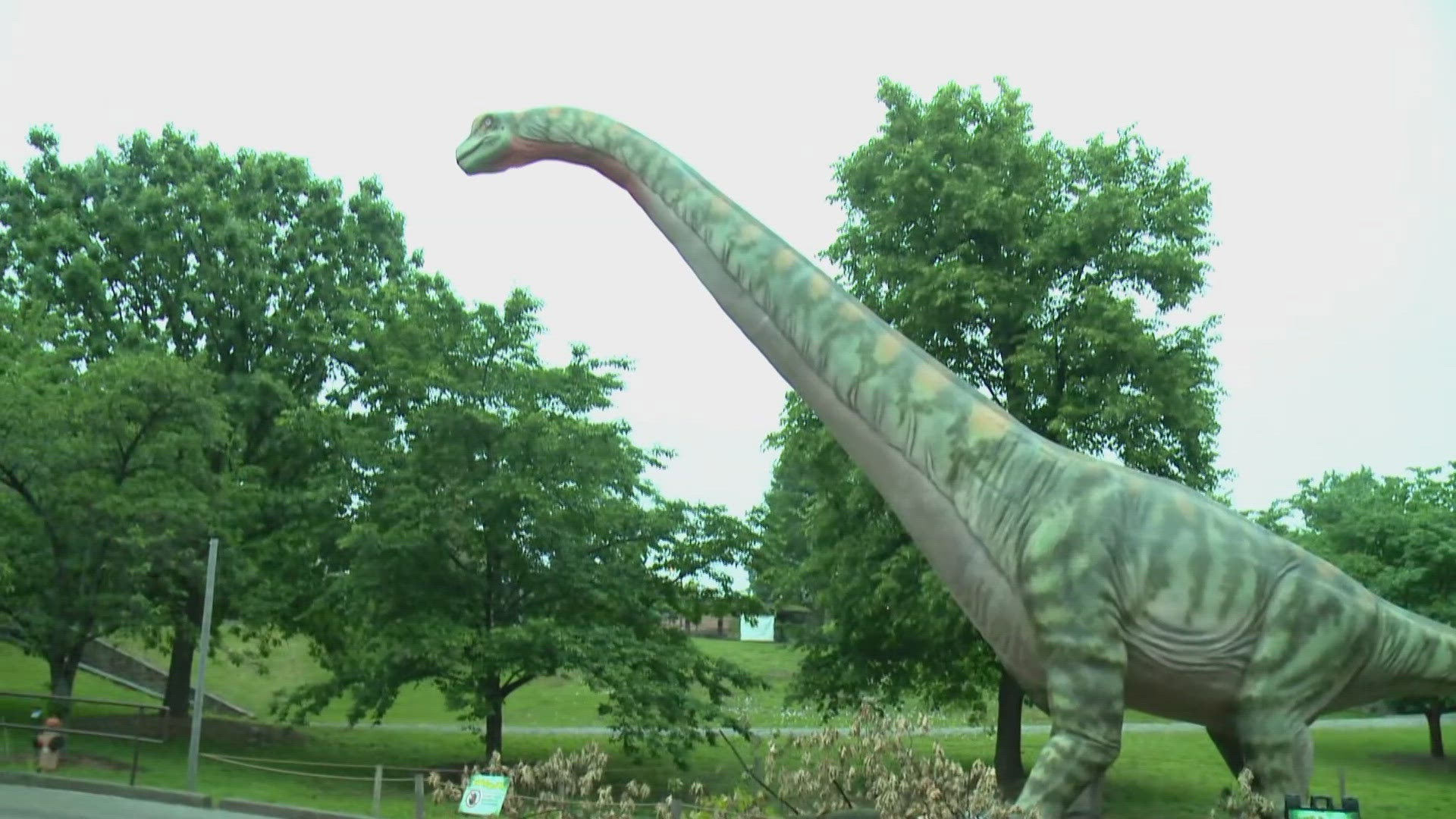 Over 20 realistic, life-sized dinosaurs are invading the Louisville Zoo