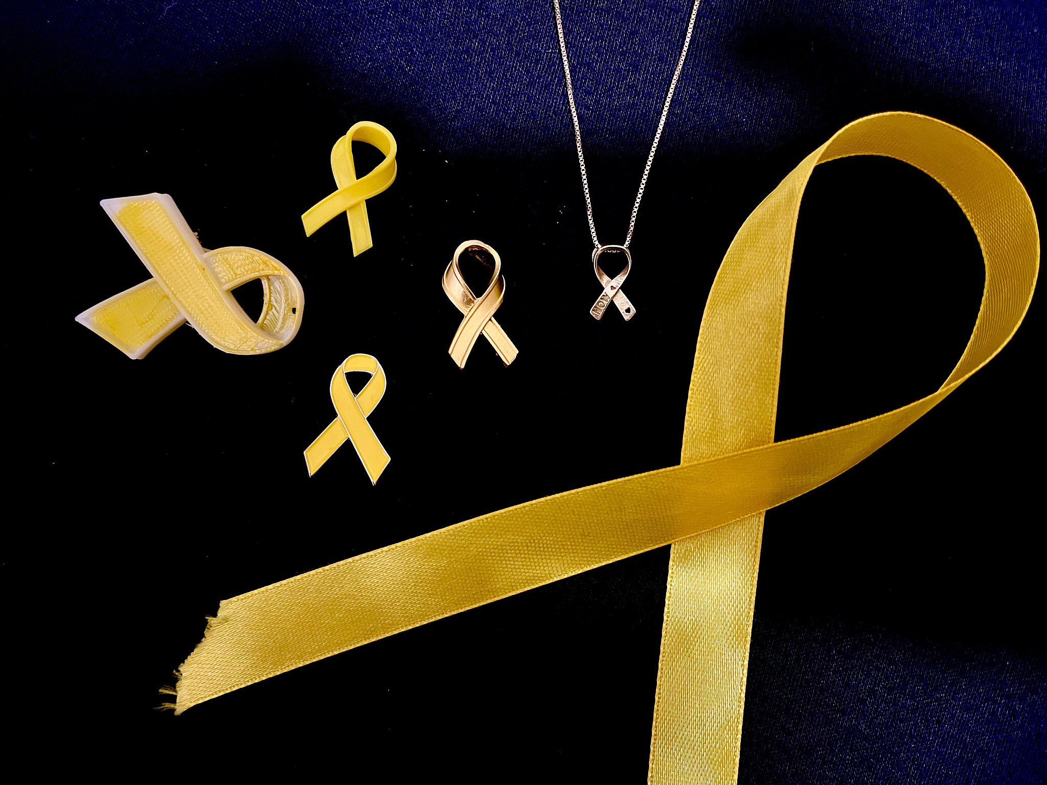 Wearing the hostage pin