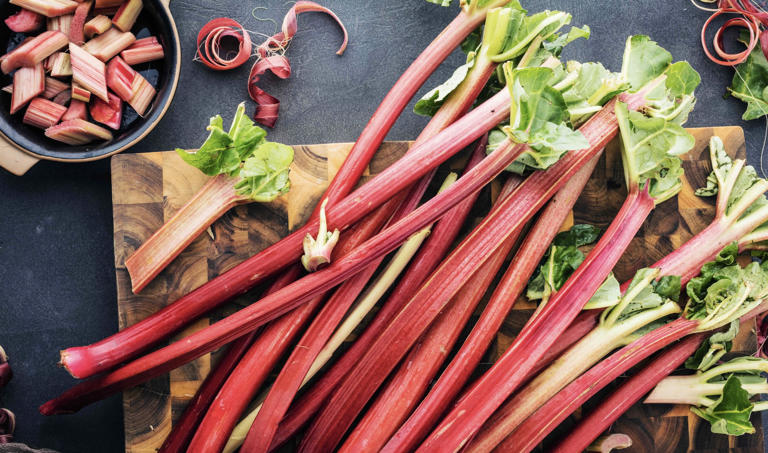 5x grootmoeders favoriete recepten met rabarber