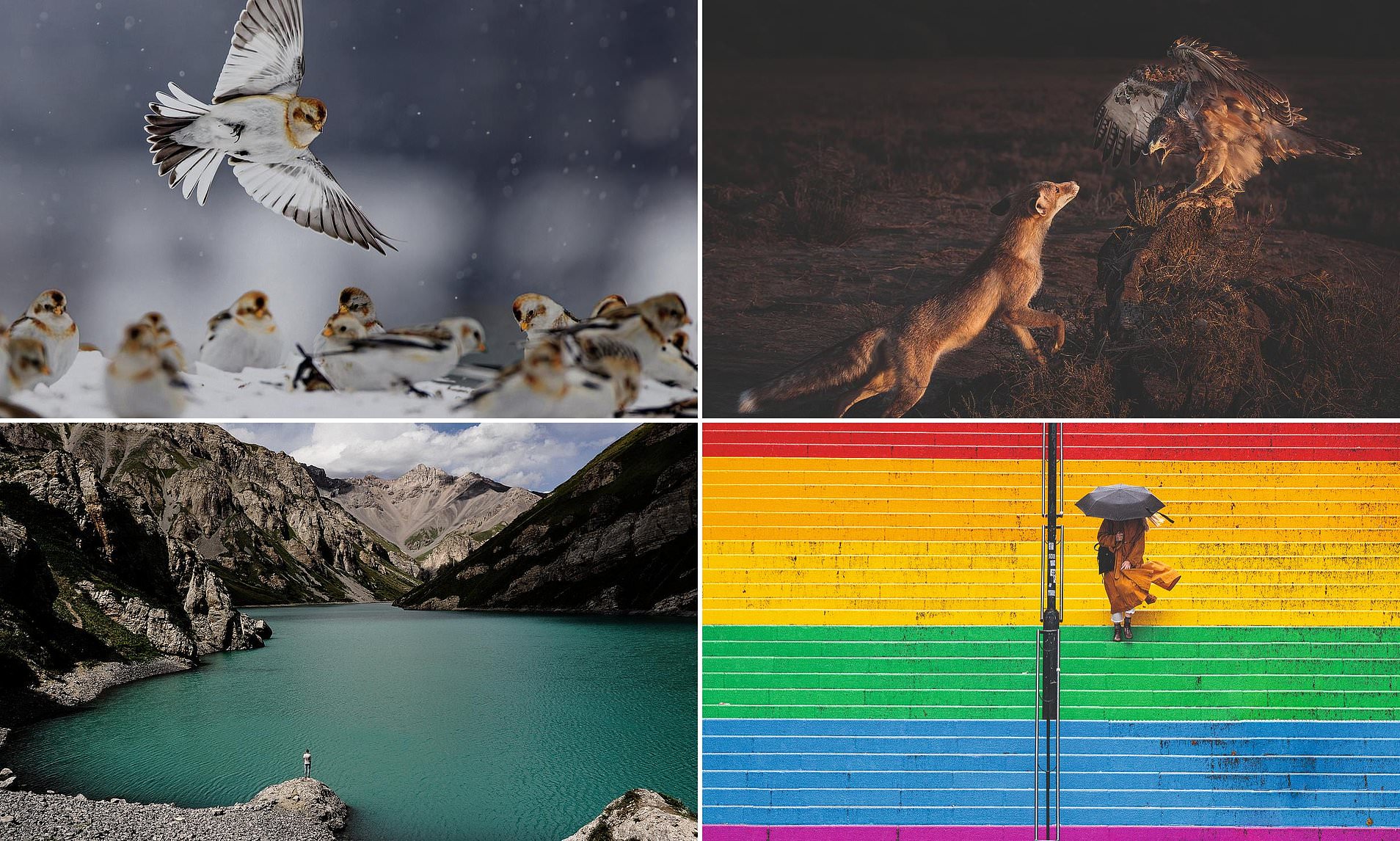 Revealed: The breathtaking winners of the 2025 National Geographic ...