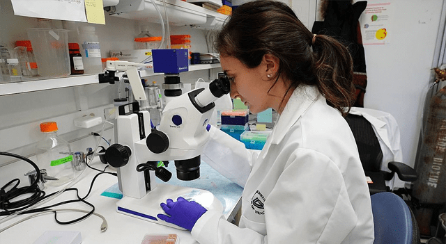 Bruker shares plunge after preliminary Q2 results reveal revenue slump