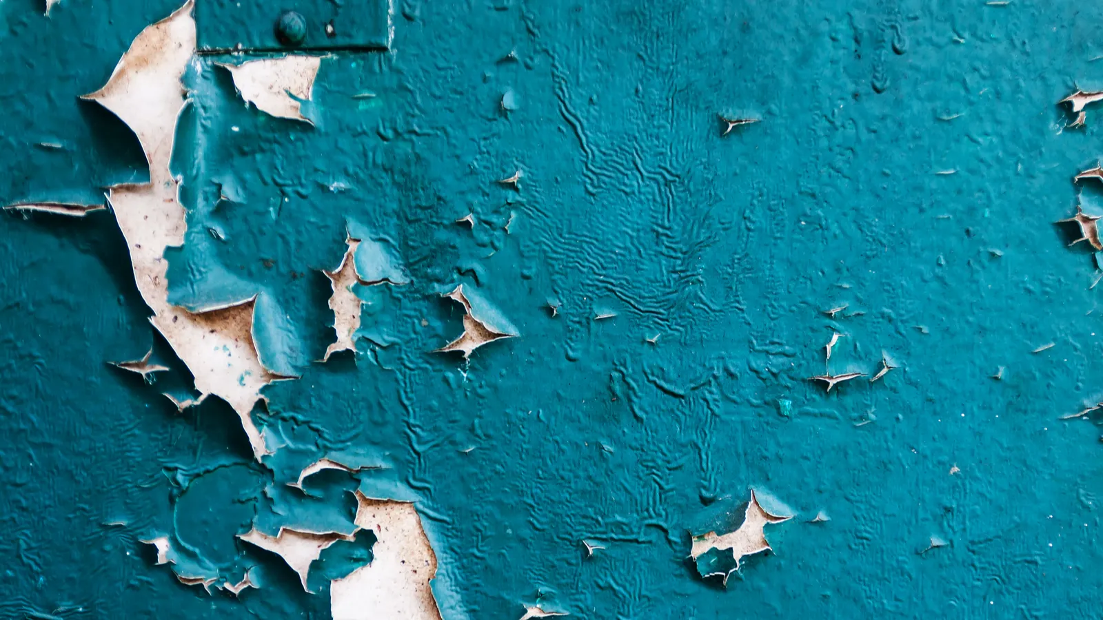 Your guide to rejuvenating old paint