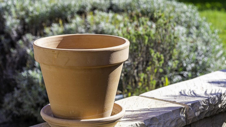 Create An Eye-Catching Planter With This DIY Mosaic Project