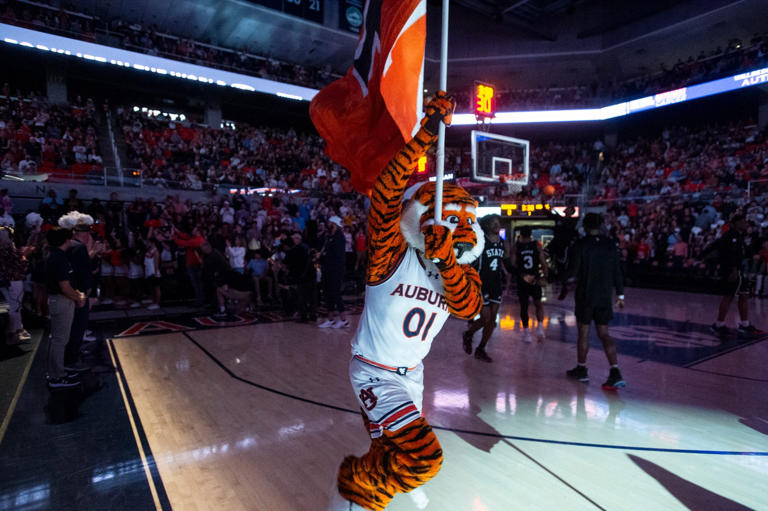Auburn basketball lands International forward Filip Jovic to round out ...