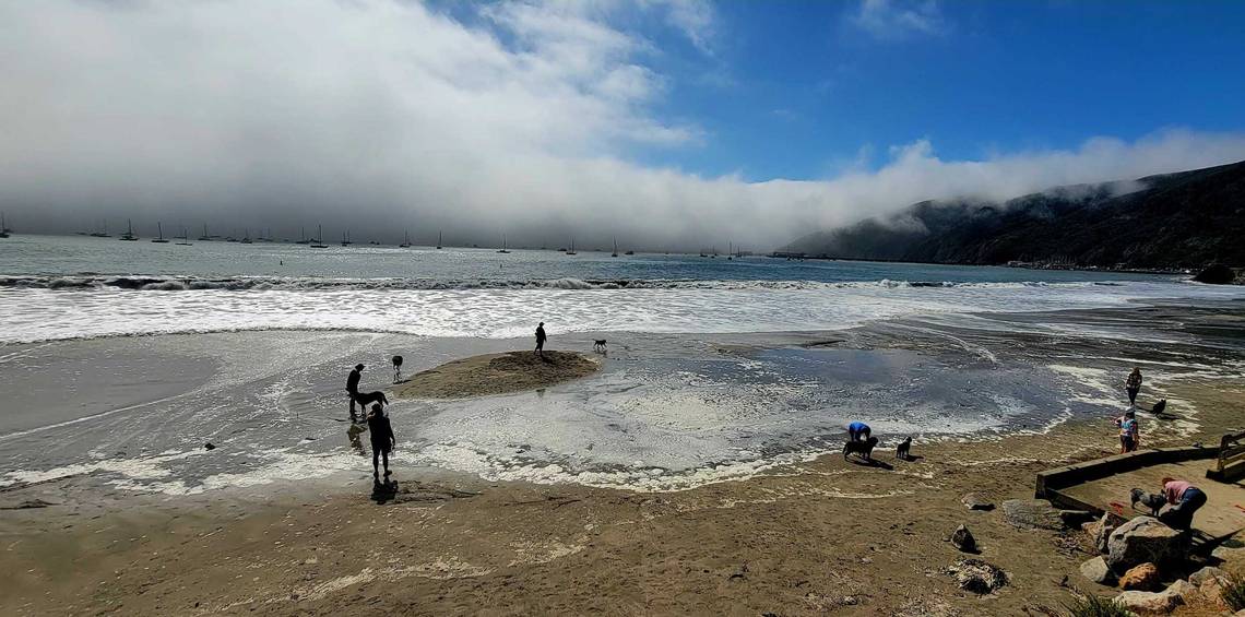 SLO County beach is among most bacteria-ridden spots in the US. See the ...