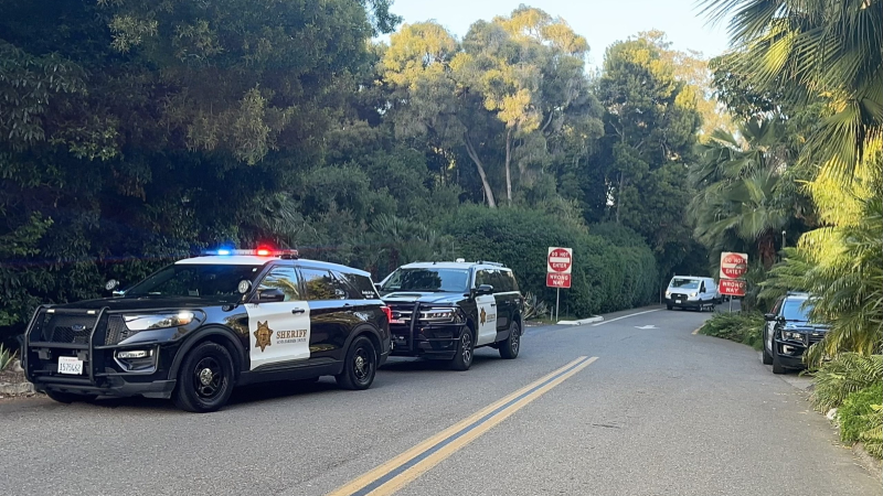 Suspect arrested, woman in coma after break-in at Beanie Babies tycoon ...