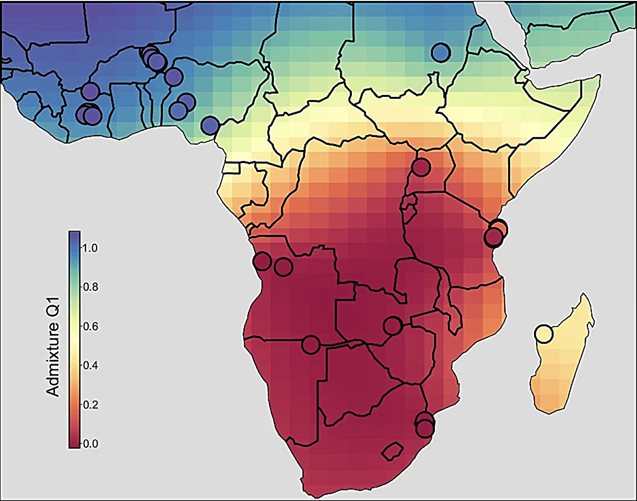 Genetic deep dive dispels fear of hybrid worm threat