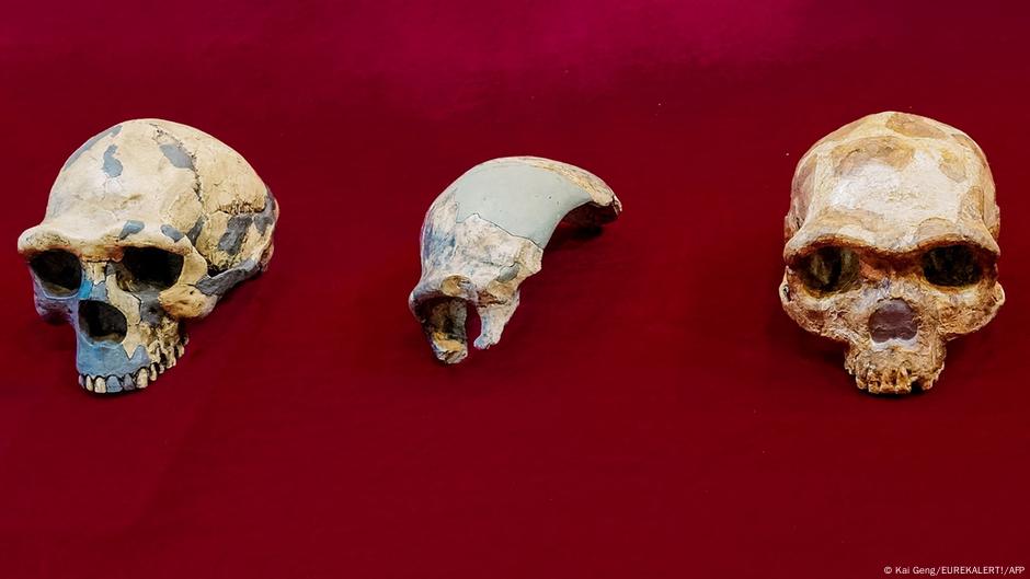 Maba 1, un cráneo de 300.000 años que no coincide con ninguna especie ...