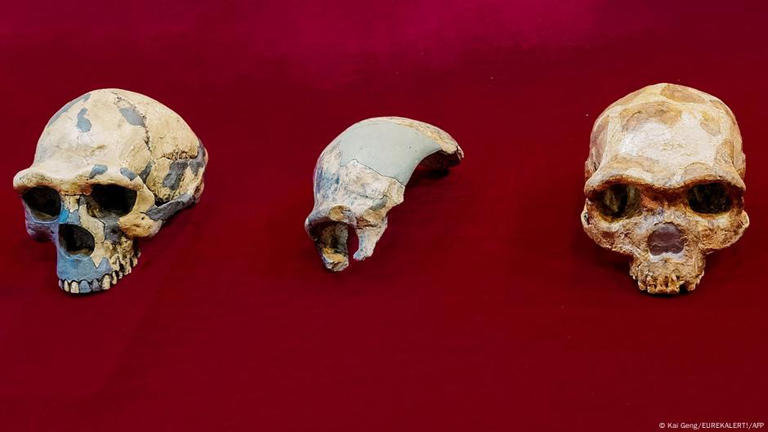 Maba 1, un cráneo de 300.000 años que no coincide con ninguna especie ...