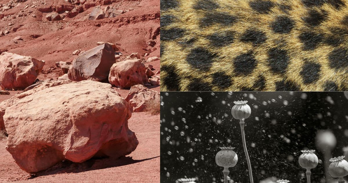 NASA’s Perseverance Rover Finds ‘Poppy Seeds’ and ‘Leopard Spots’ on ...