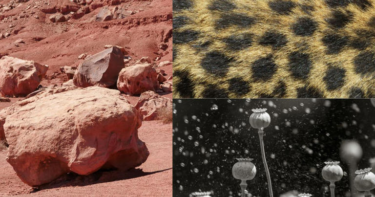 NASA’s Perseverance Rover Finds ‘Poppy Seeds’ and ‘Leopard Spots’ on ...