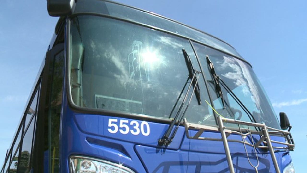 MCTS service improvement plan recommendations to be presented